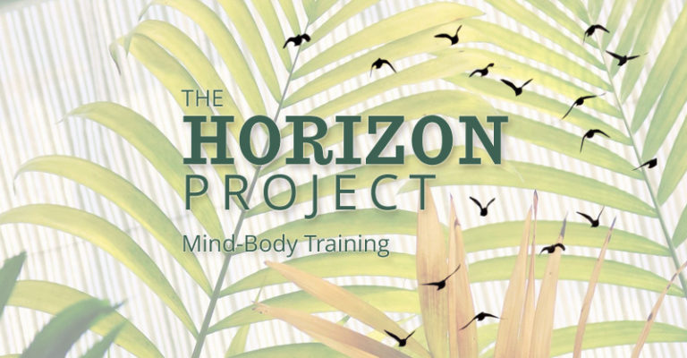The Horizon Project - Cedar Tree Institute